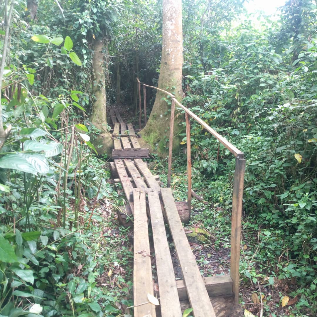 Lodge loop trail – ACBF